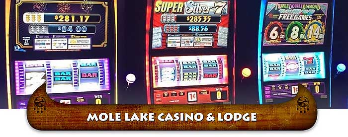 History – Sokaogon Chippewa Community